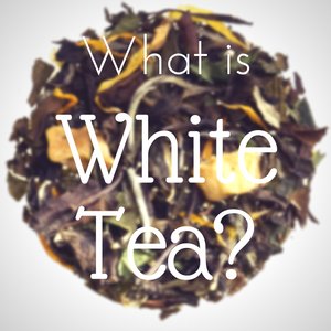 What is White Tea? – Good Life Tea