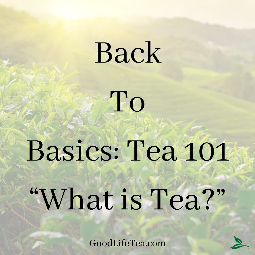 What is Tea Made Of? – Good Life Tea