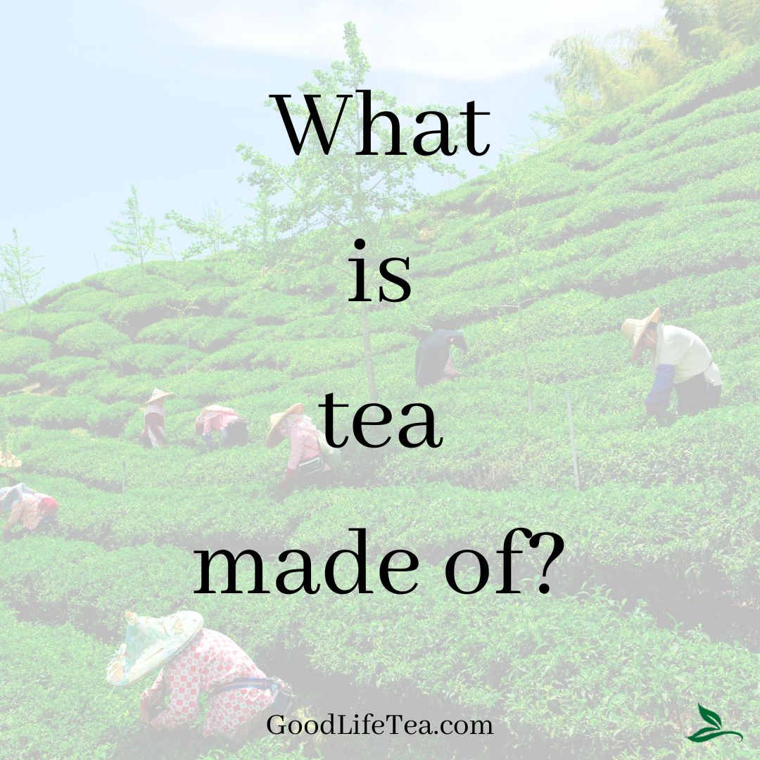 What is tea made of? – Good Life Tea