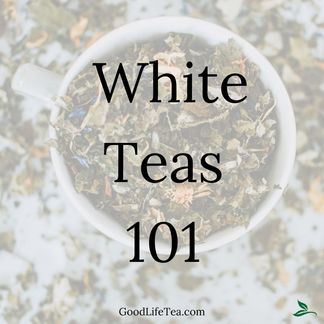 What is White Tea? – Good Life Tea