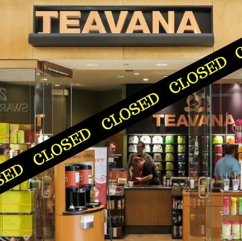 Substitute Teavana Loose-Leaf Teas | Buy Teavana Tea Online – Good Life Tea