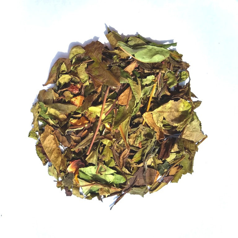 Loose Tea: Rhapsody in Blue Loose Leaf White Tea | Good Life Tea